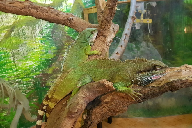 Top 4 quán cafe lãng mạn nhất ở Sài Gòn cho các cặp đôi đang yêu